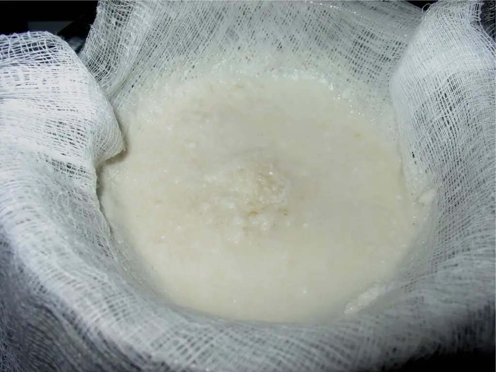 Authentic Horchata | DebbieNet.com